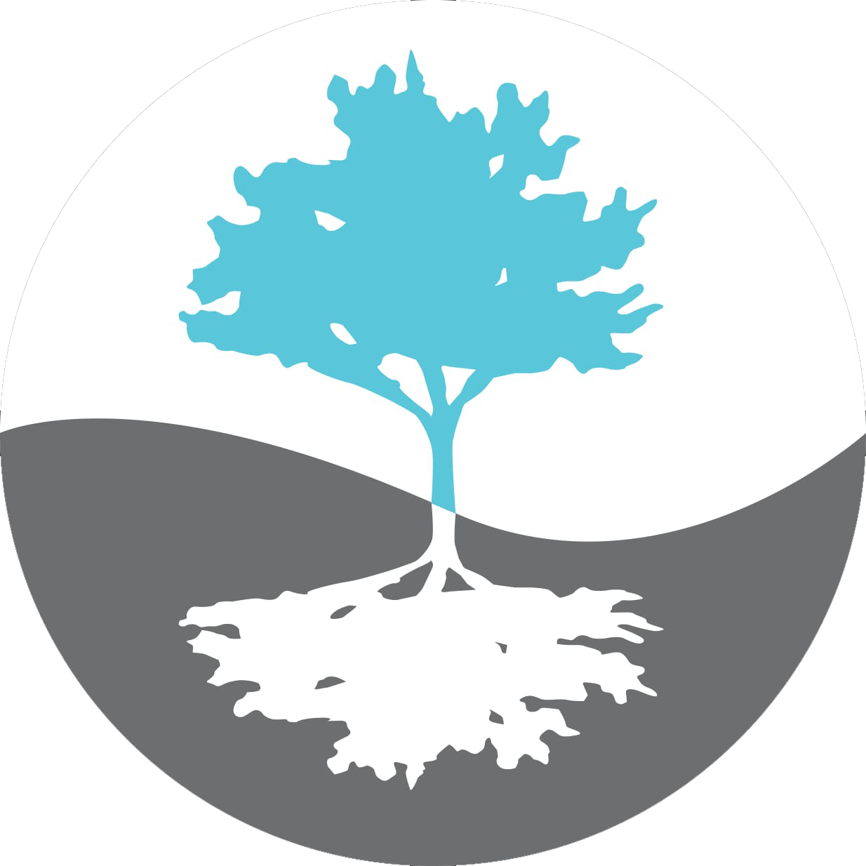 Functional Training - One2One Fitness Studio